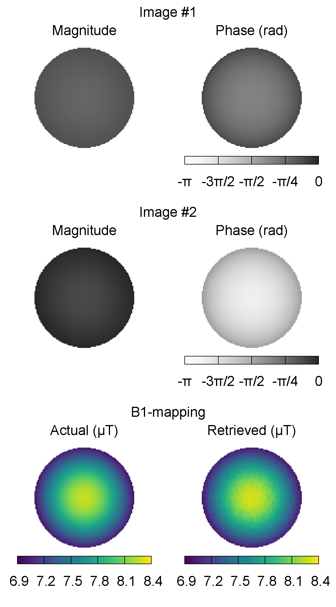 Examples | b1map-sim