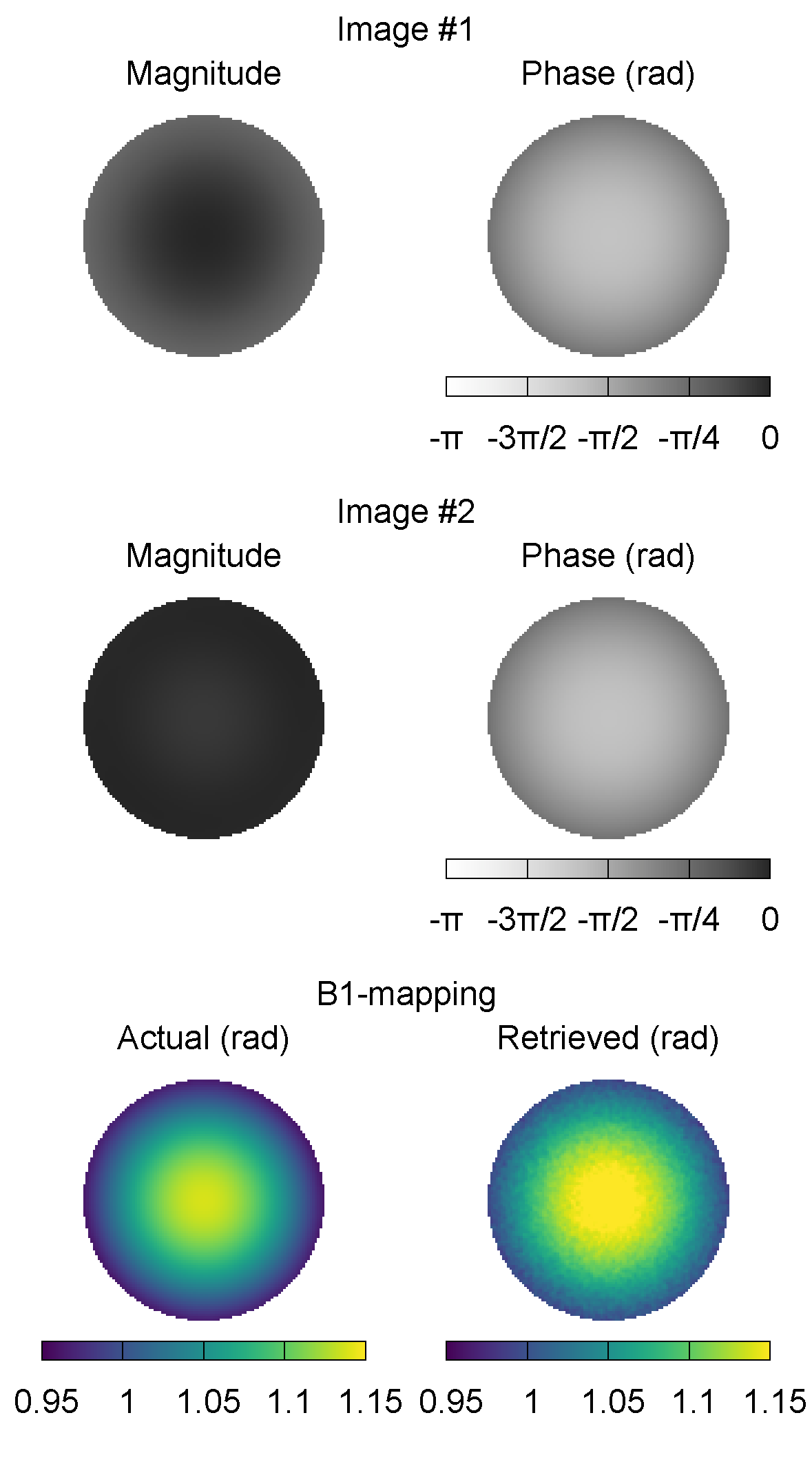 Examples | b1map-sim